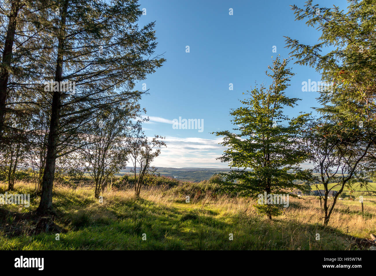Landscape shot taken on the edge of a copse Stock Photo - Alamy