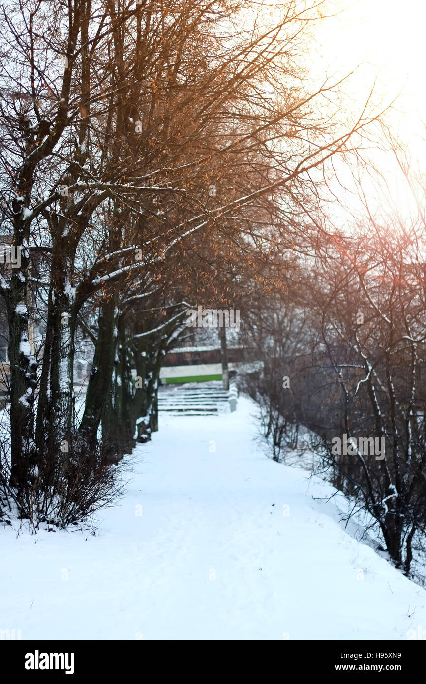 alley pathway park winter Stock Photo - Alamy
