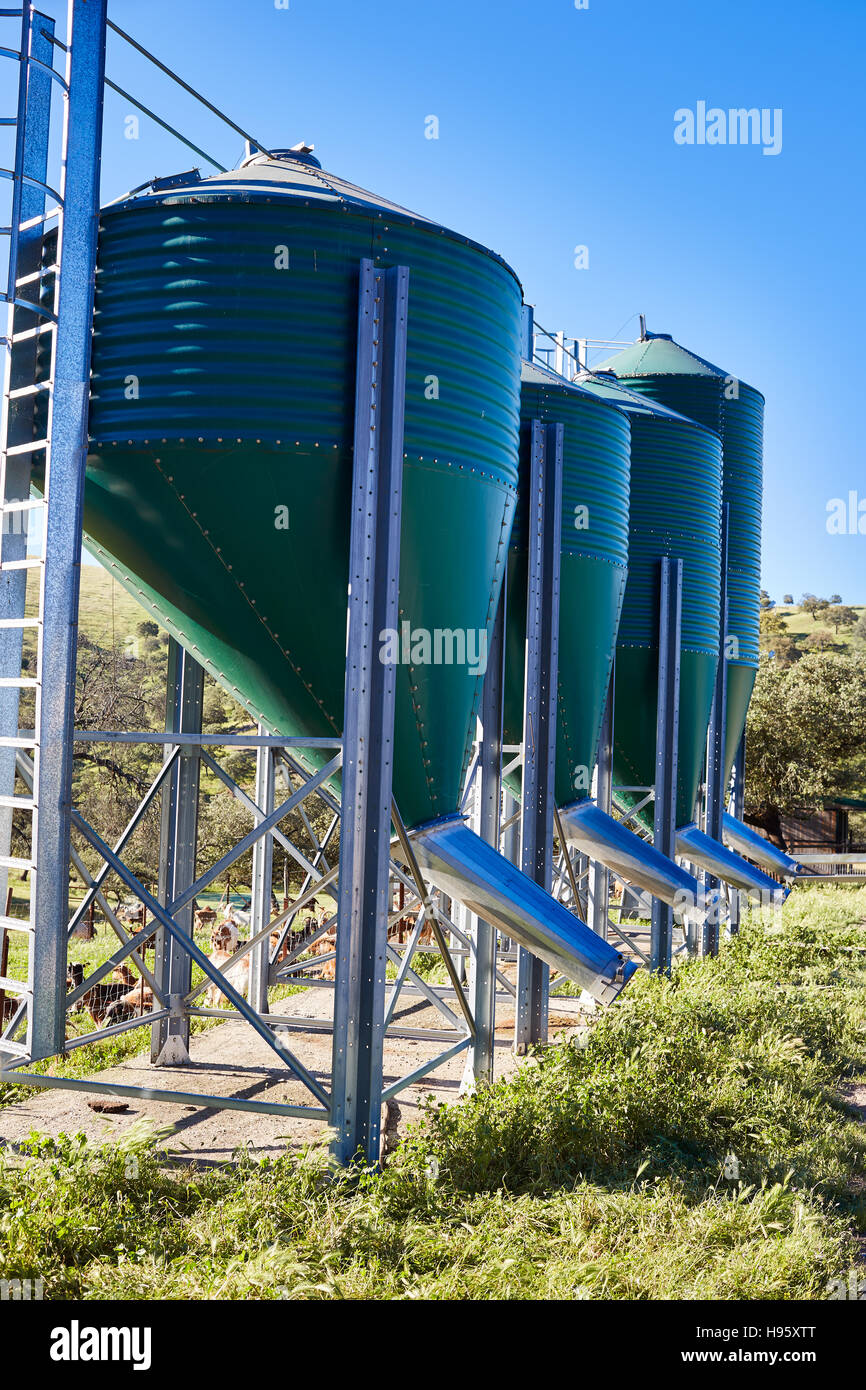 Feed hopper for livestock in green metal outdoor Stock Photo - Alamy