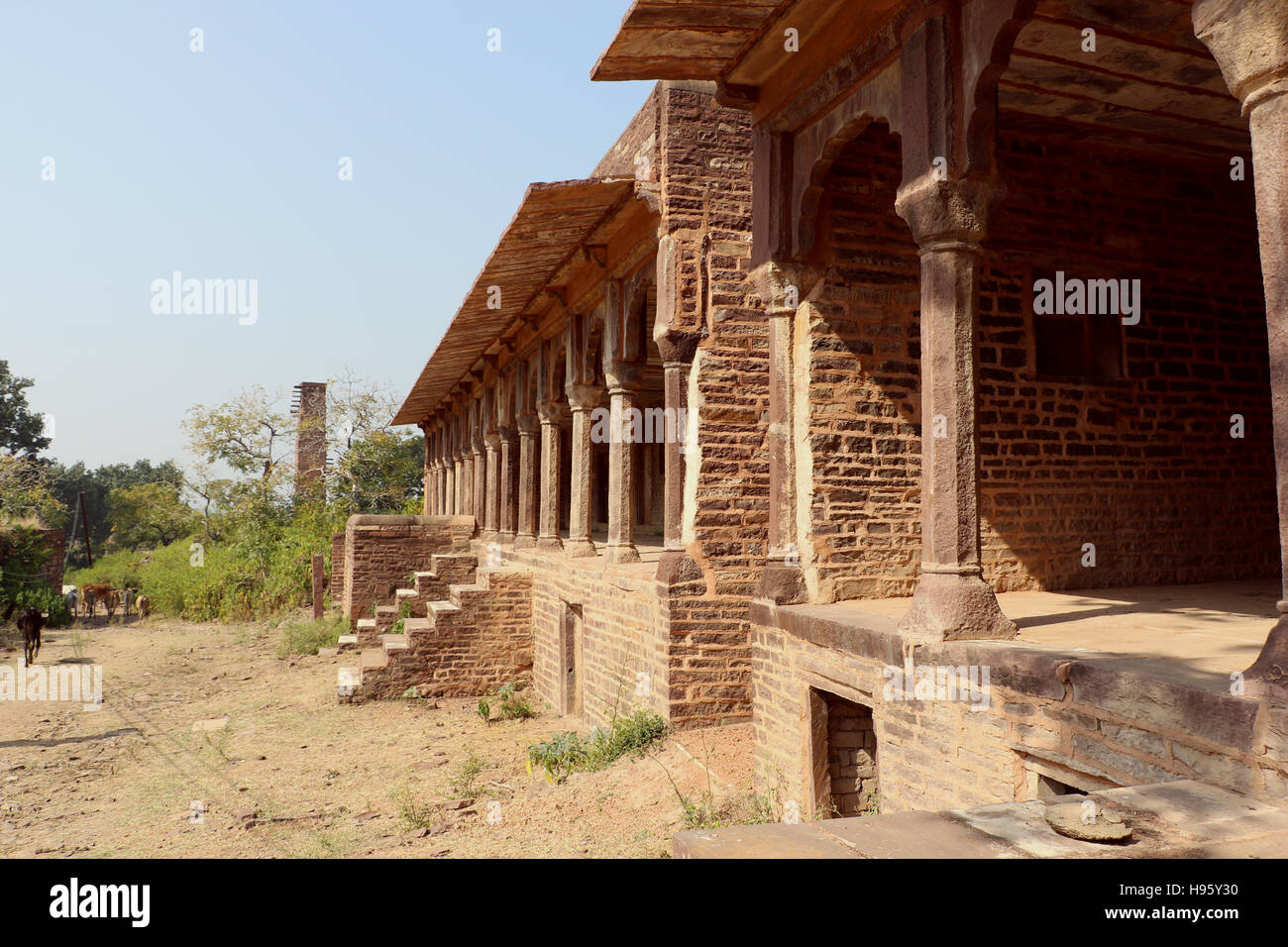 Ruins of thousand years old Narwar Fort Stock Photo - Alamy