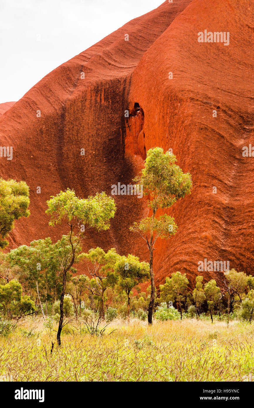Uluru texture hi-res stock photography and images - Alamy