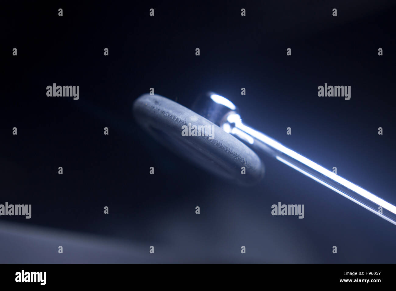 Doctor's reflex hammer tool used to test patient reflexes in knee and ...