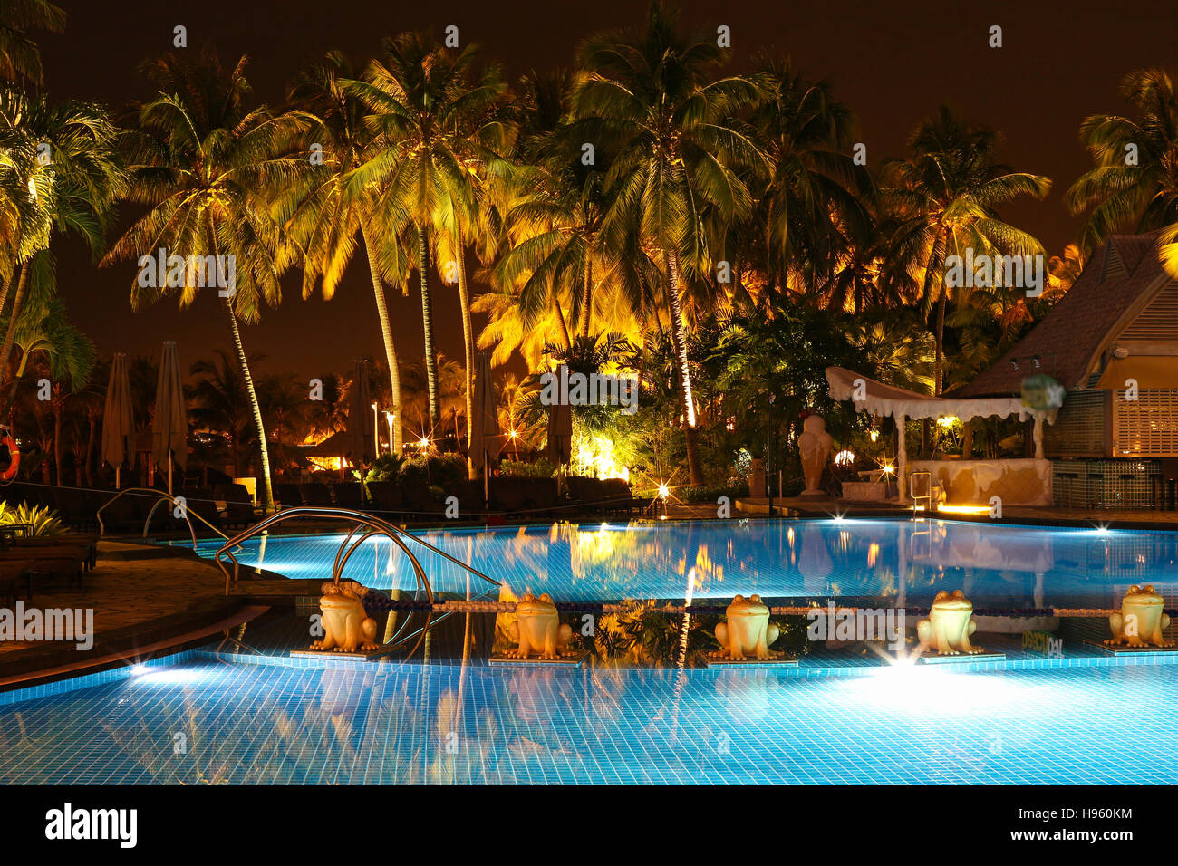 Palm trees near sea beach in the evening hi-res stock photography and ...