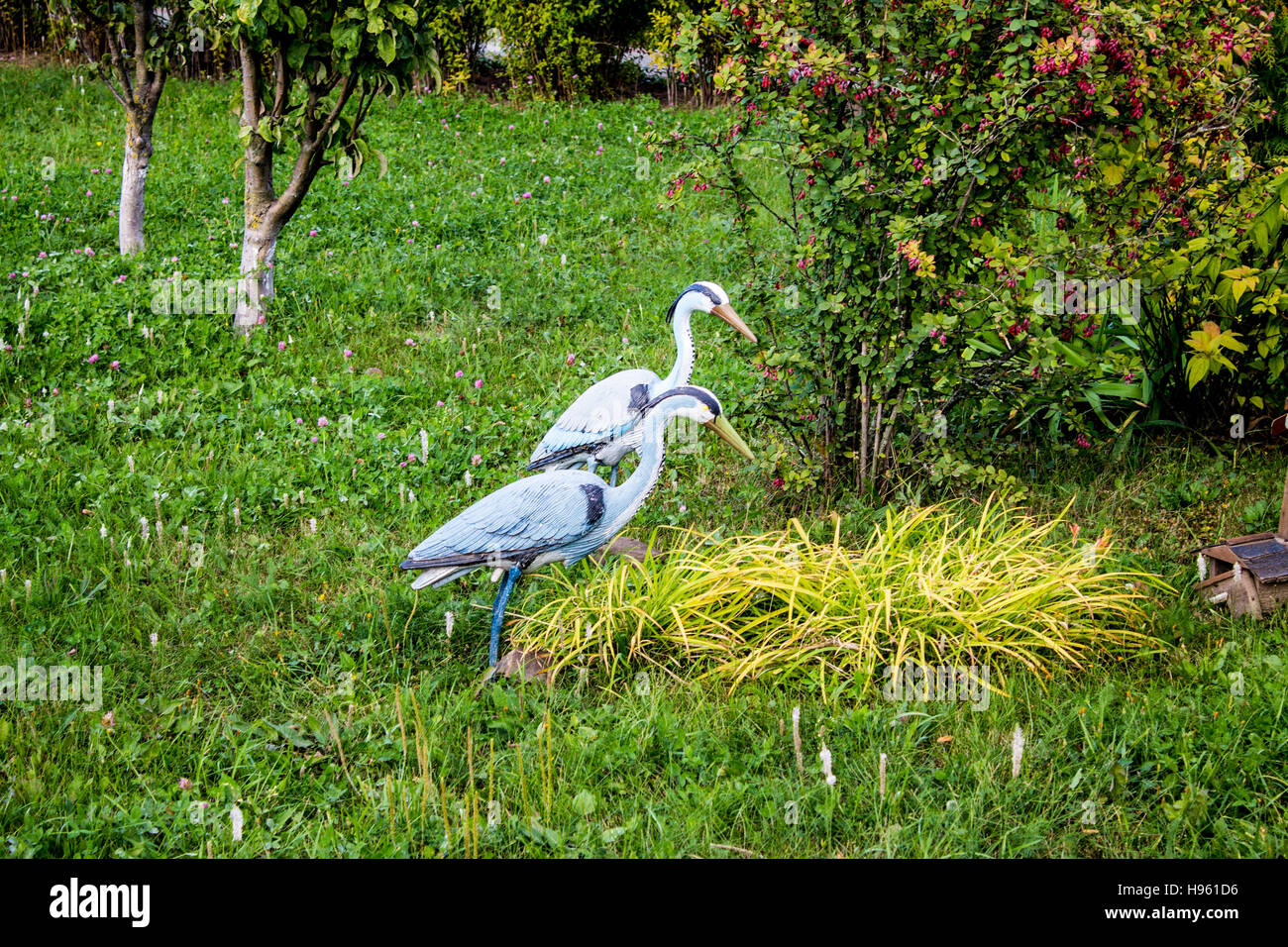 Standing on one leg stork bird isolated white background Stock Photo ...