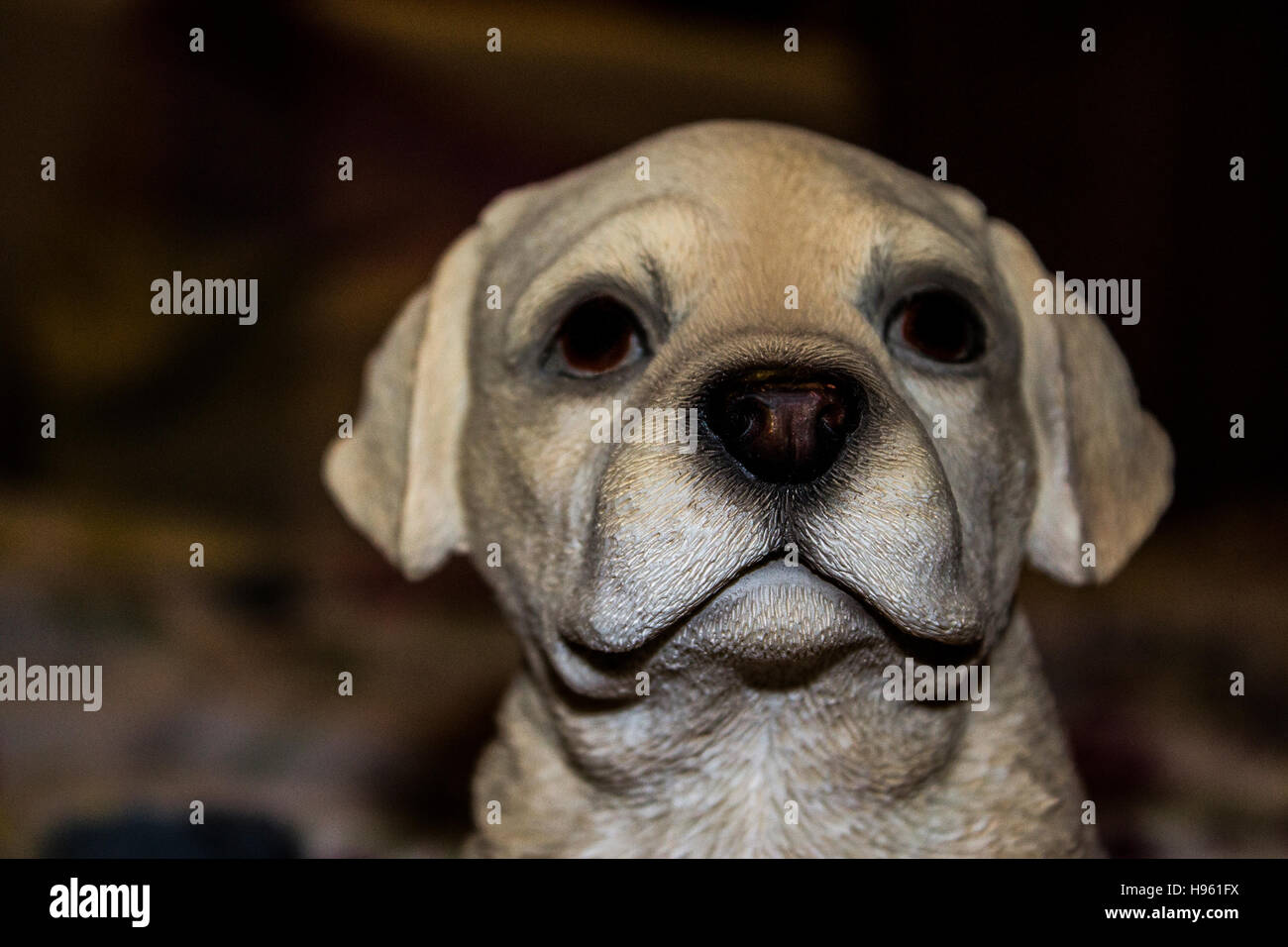 faux dog looks attentive look at the camera Stock Photo - Alamy