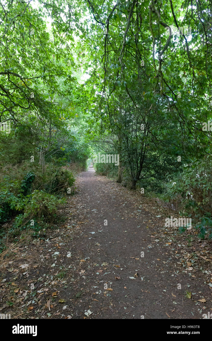 Footpath by river thames in barnes hi-res stock photography and images ...