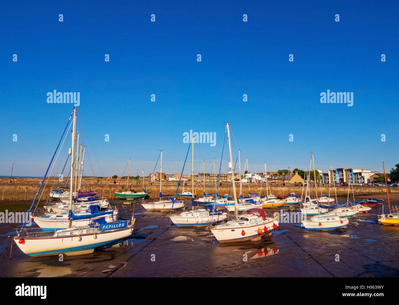 Musselburgh scotland High Resolution Stock Photography and Images - Alamy