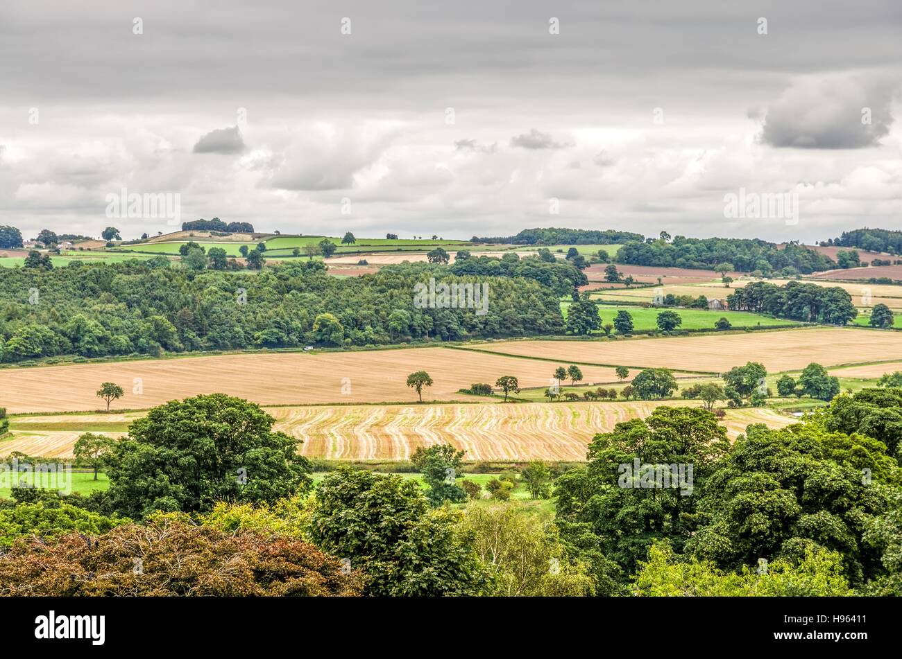 Middleham, North Yorkshire, England countryside Stock Photo - Alamy