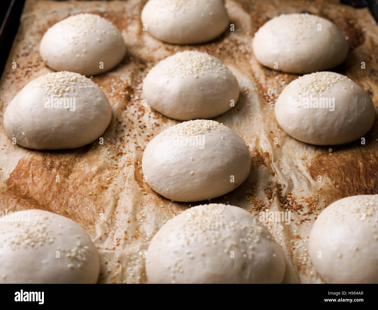 Sesame buns ready for baking, Artisan bakery Stock Photo - Alamy
