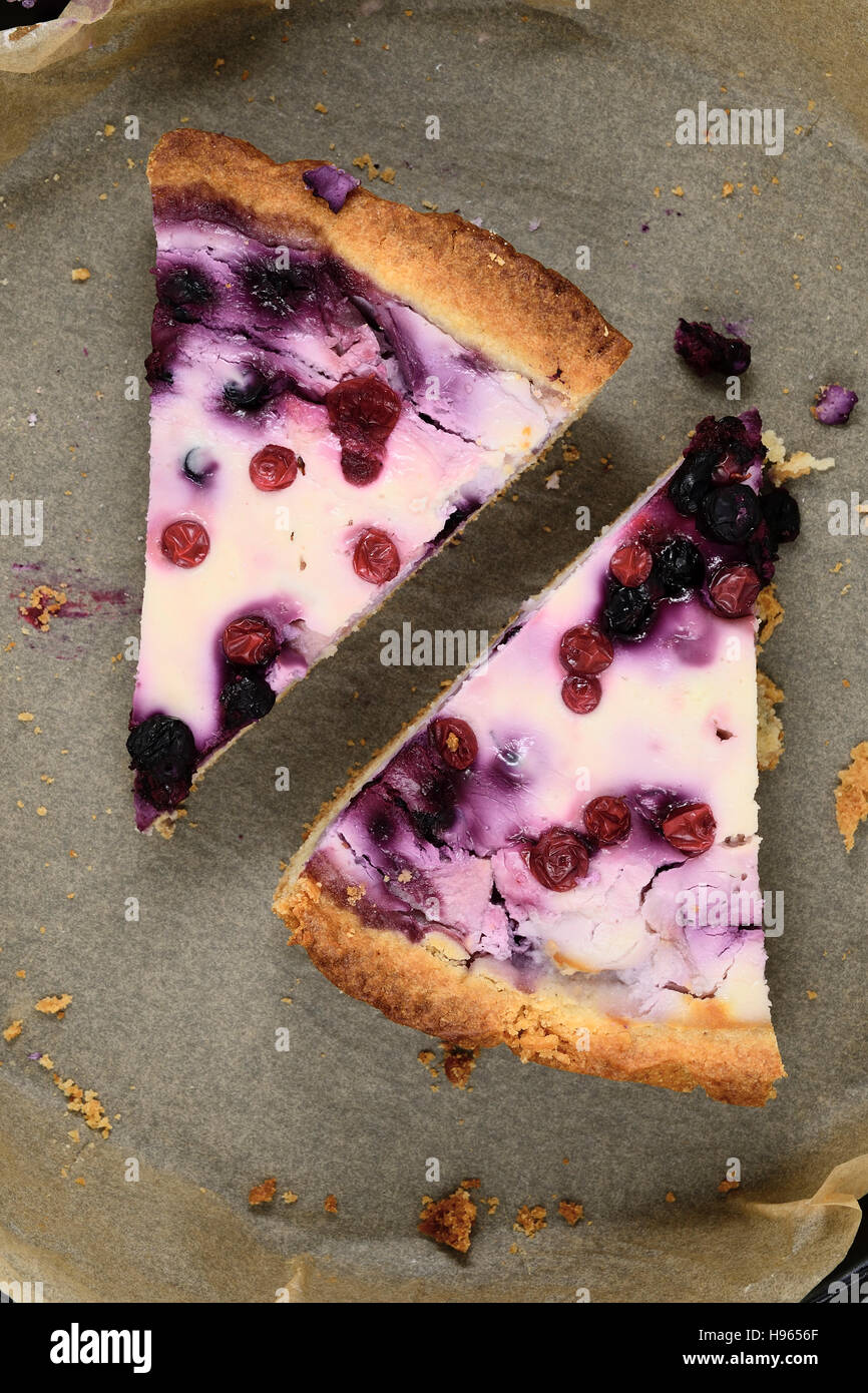 two slices of cake with cream cheese with blueberries Stock Photo - Alamy