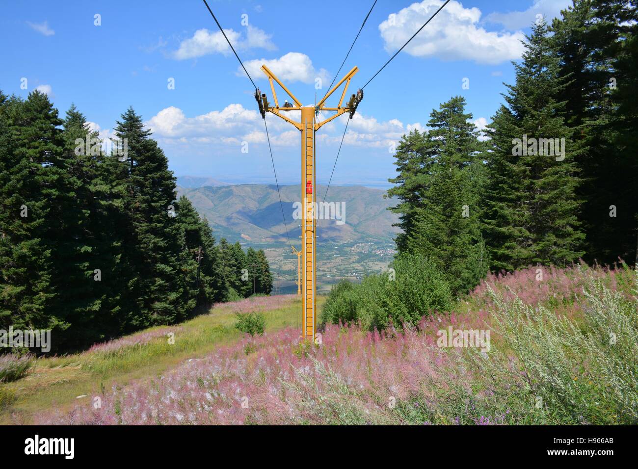 Pelister Mountain, Bitola Stock Photo - Alamy