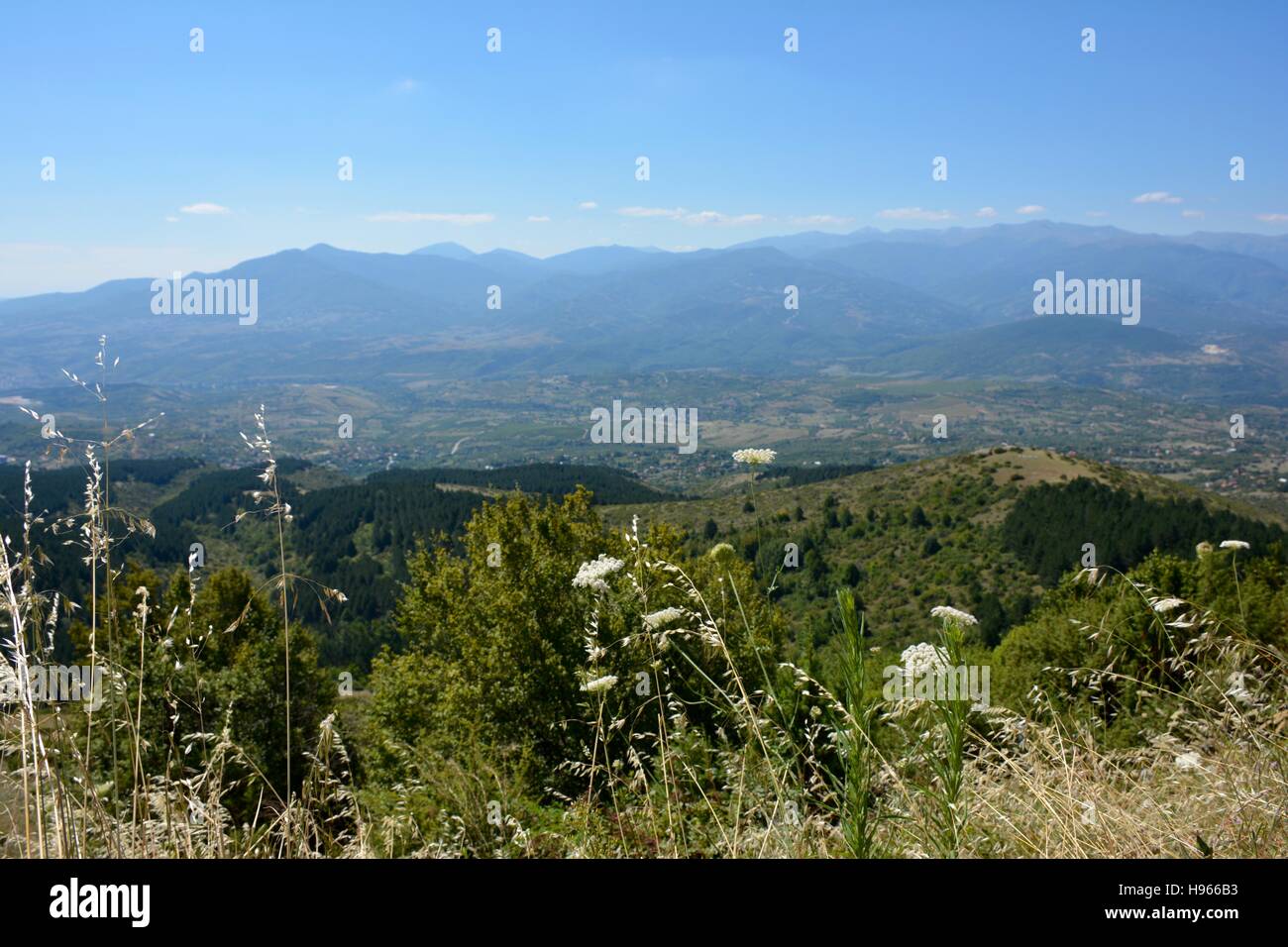 On the top of Vodno Stock Photo - Alamy
