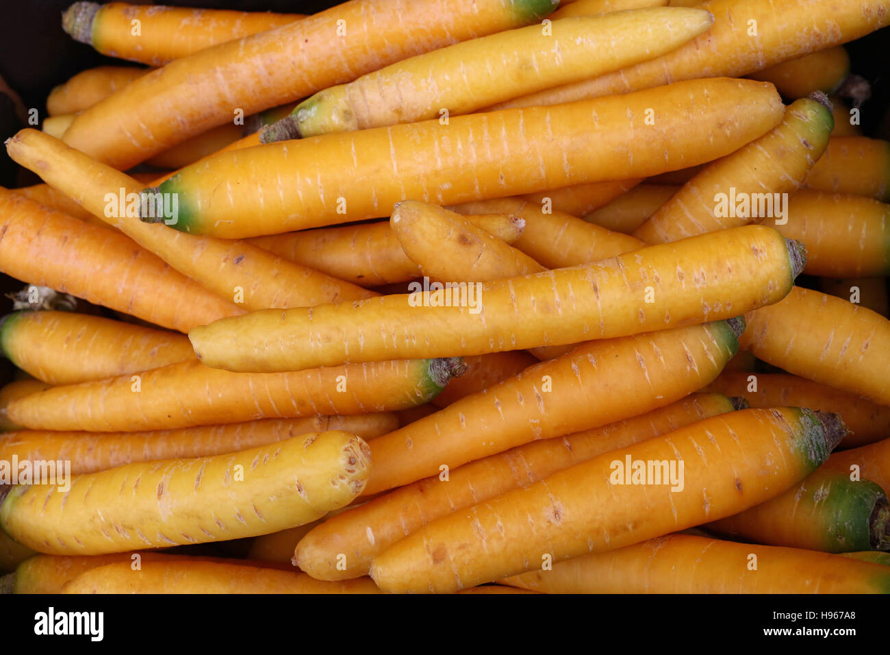 Bunches of fresh new spring Asian yellow carrots on retail market stall ...
