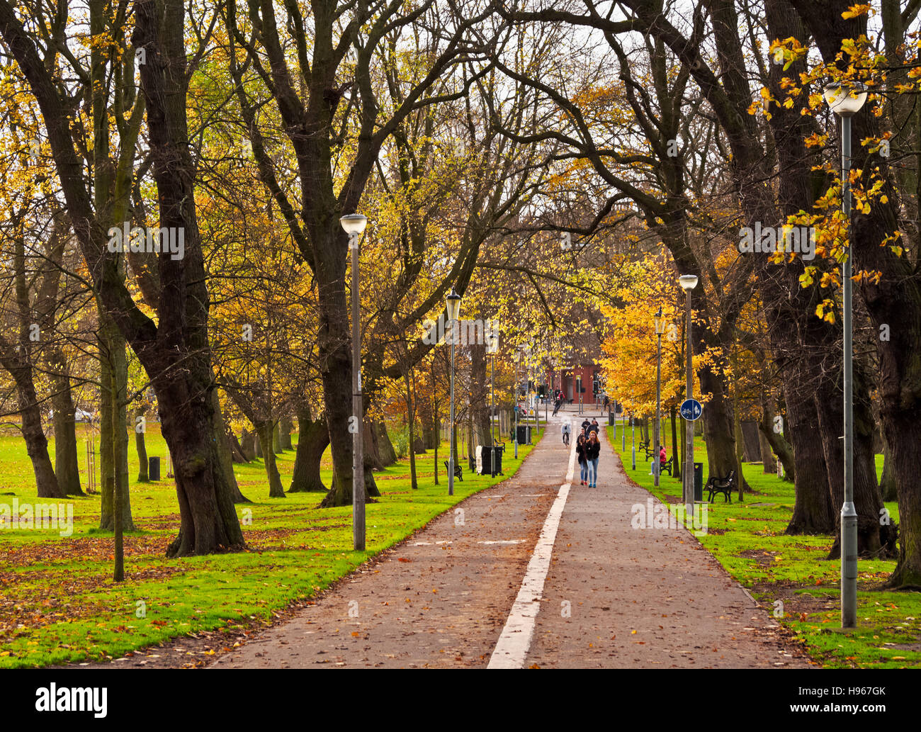 The meadows park hi-res stock photography and images - Alamy