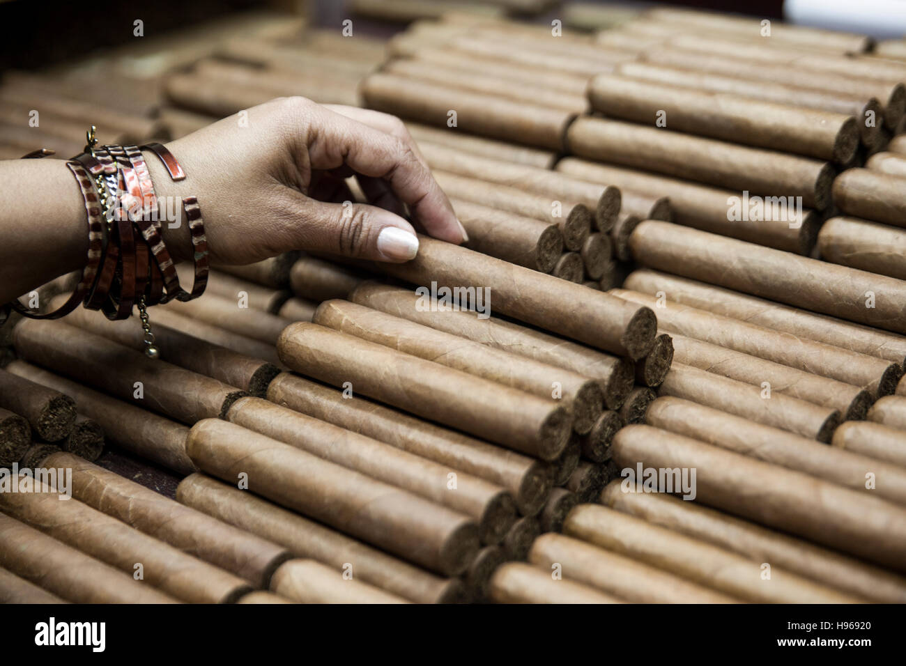 Cuban cigar factory hi-res stock photography and images - Alamy
