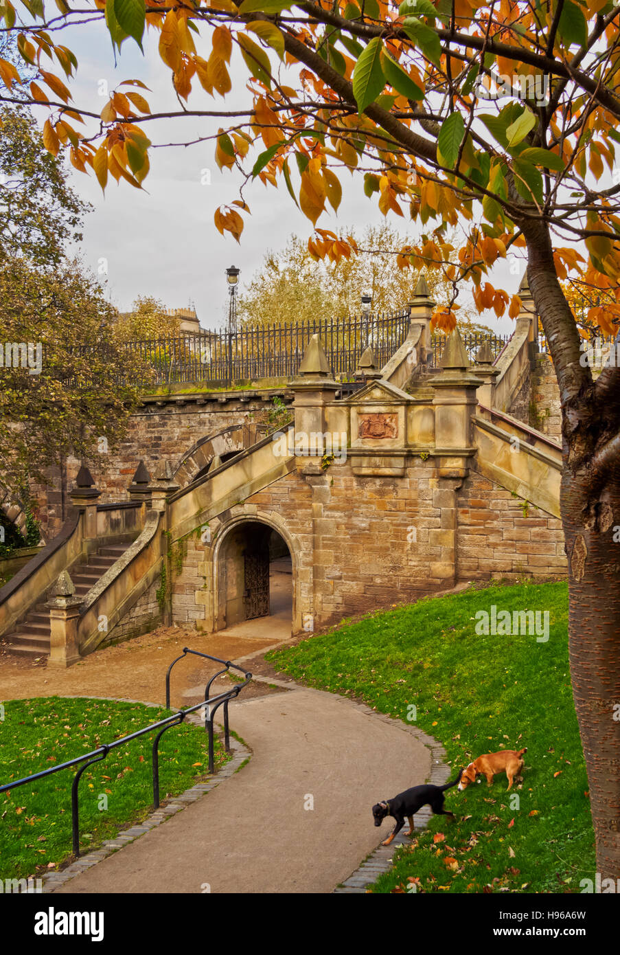 Water of leith walkway hi-res stock photography and images - Alamy