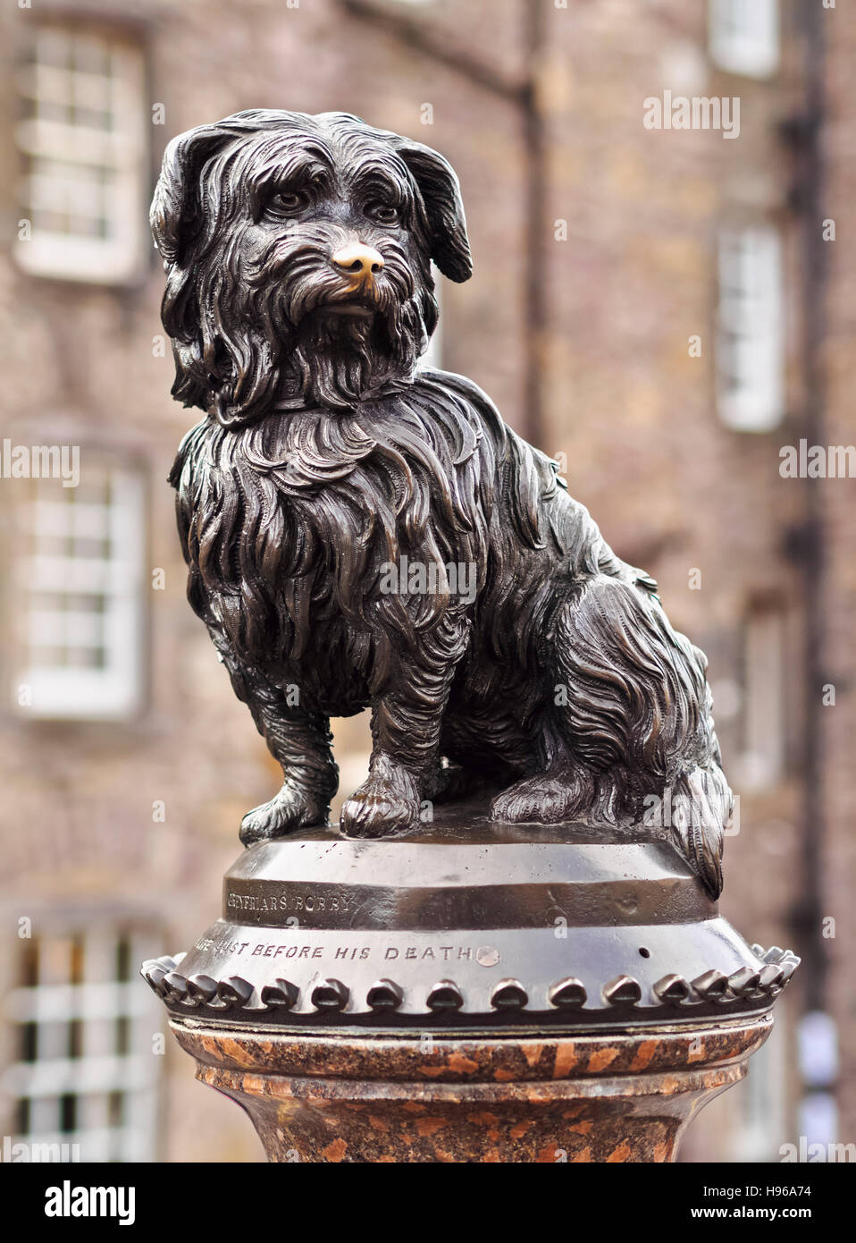 Statue scotland dog statue hi-res stock photography and images - Alamy