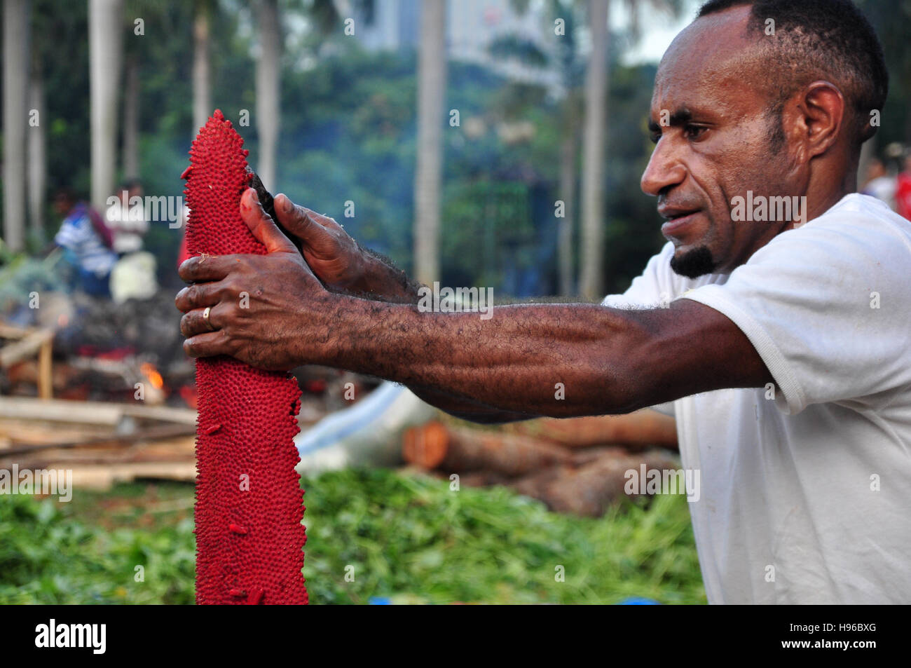 Jakarta, Indonesia - May 25, 2014 : Papua people peeling red fruit at ...