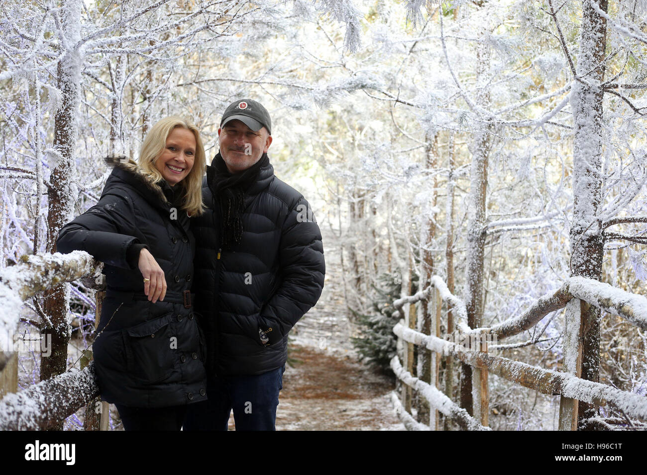 Alison battle founders laplanduk hi-res stock photography and images ...