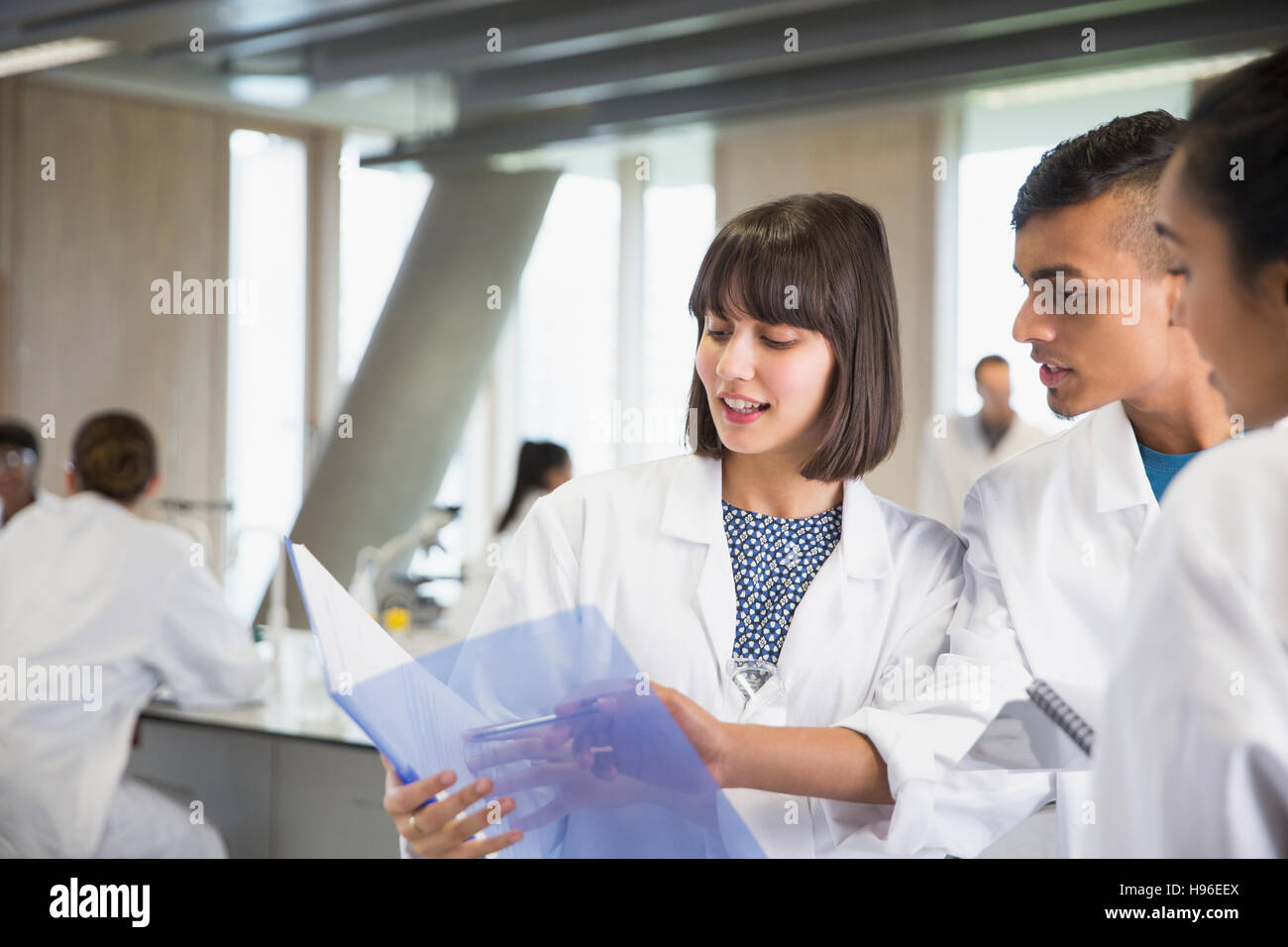 College students discussing notes in science laboratory classroom Stock ...