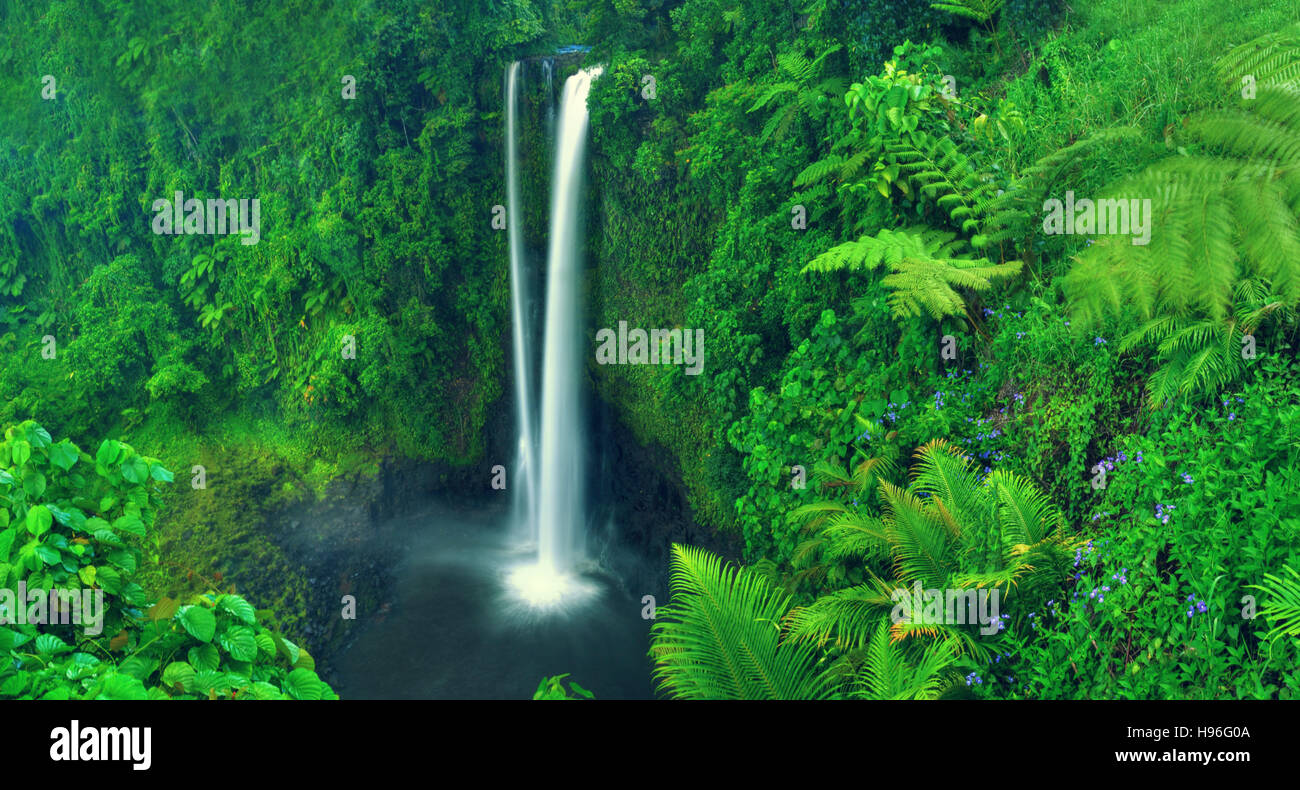 Waterfall Nature Scenics Waterfall Forest Concept Stock Photo - Alamy