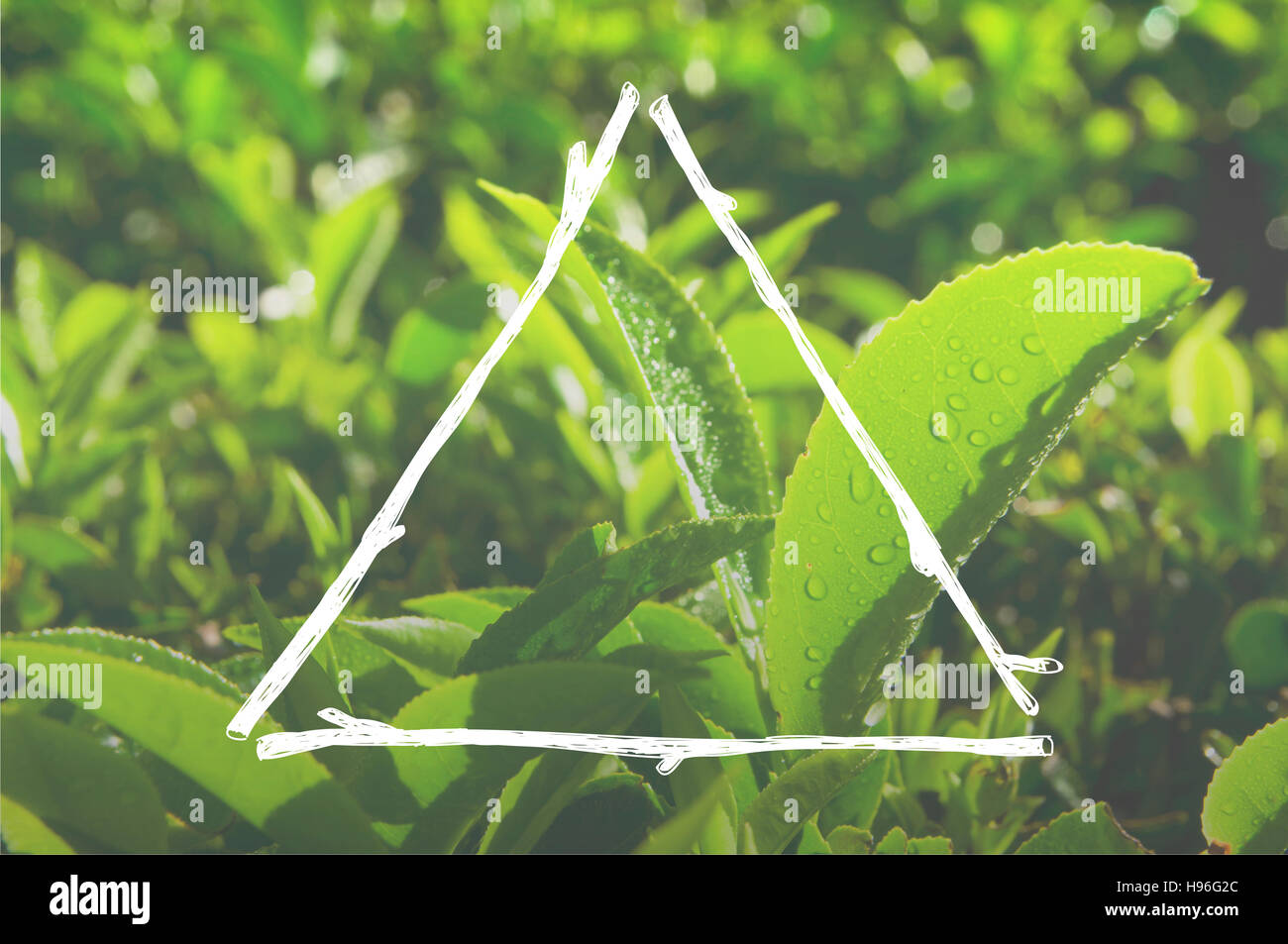 Plantation Green Environment Conservation Frame Concept Stock Photo - Alamy