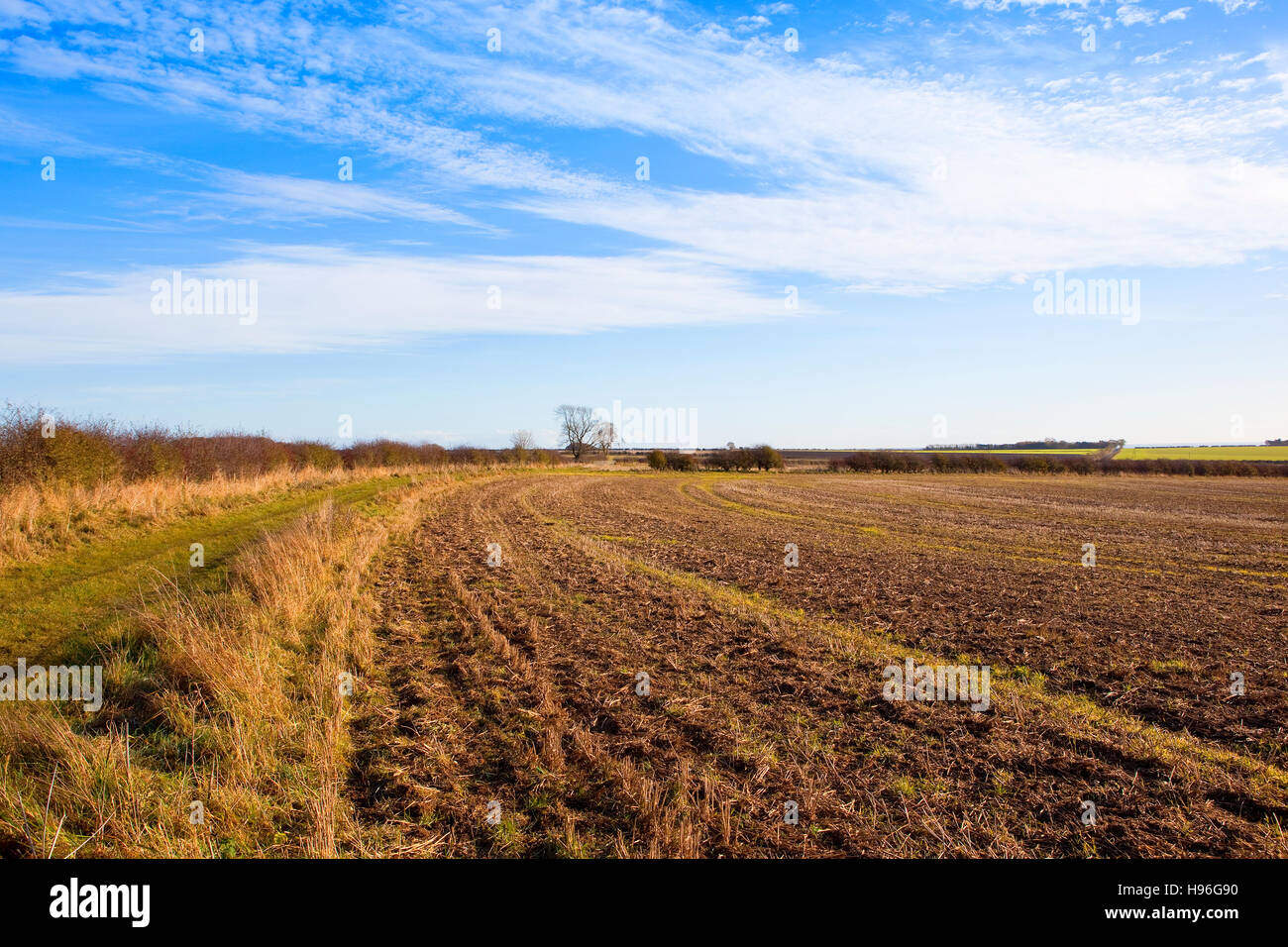 The Minster way footpath through the arable fields of the Yorkshire ...