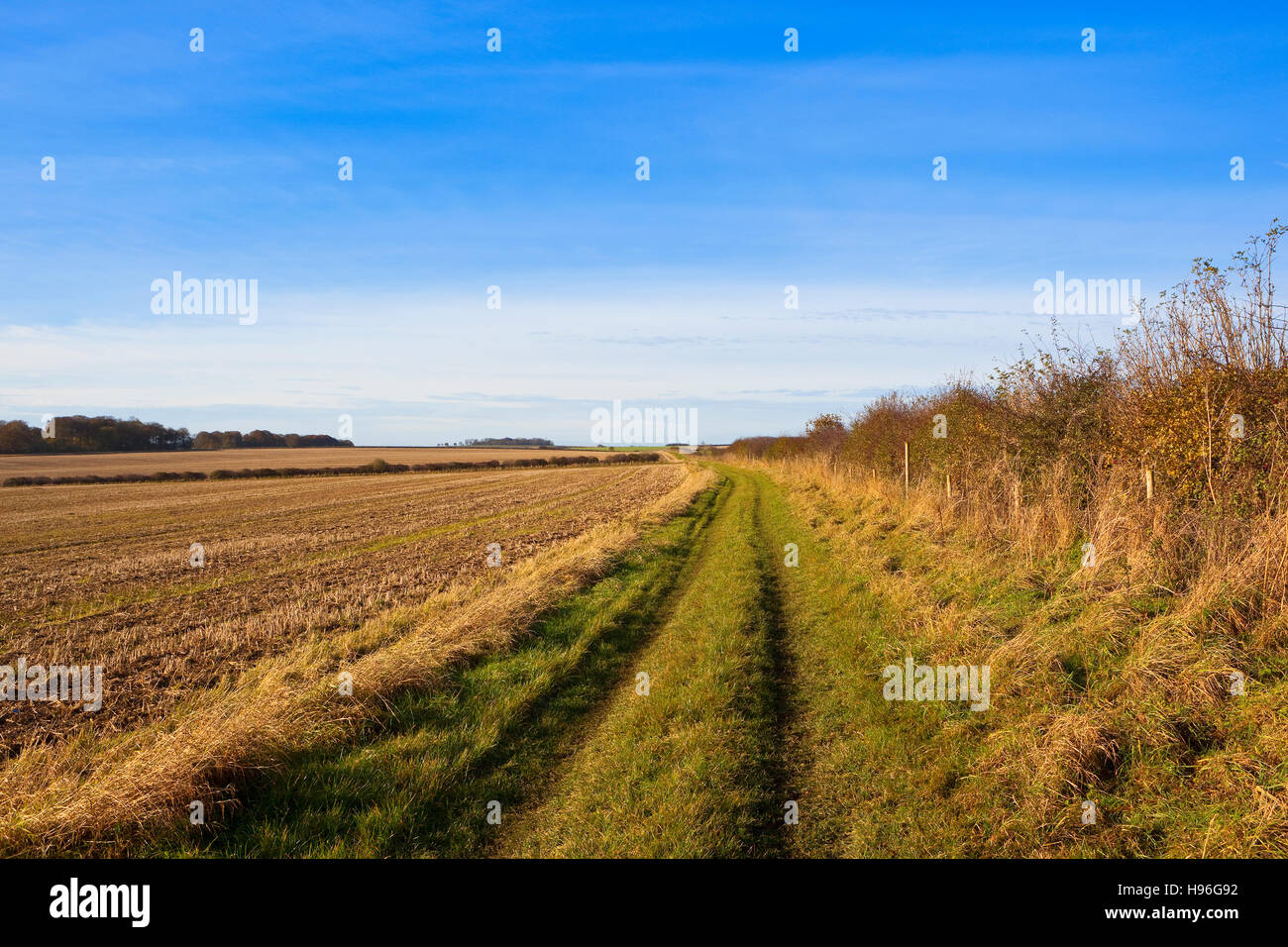 A scenic section of the Minster way footpath in the farming landscape ...