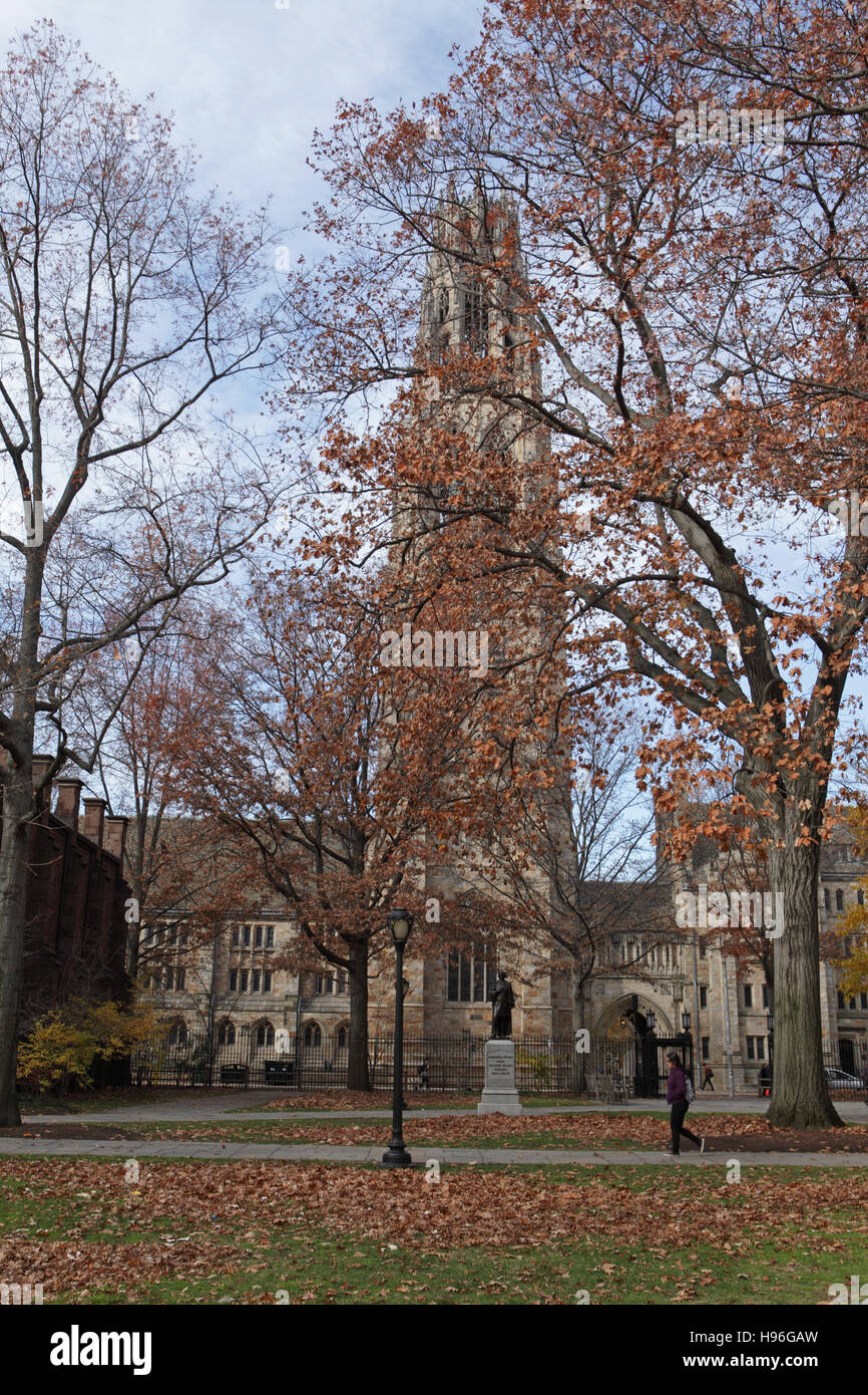 University of yale hi-res stock photography and images - Alamy