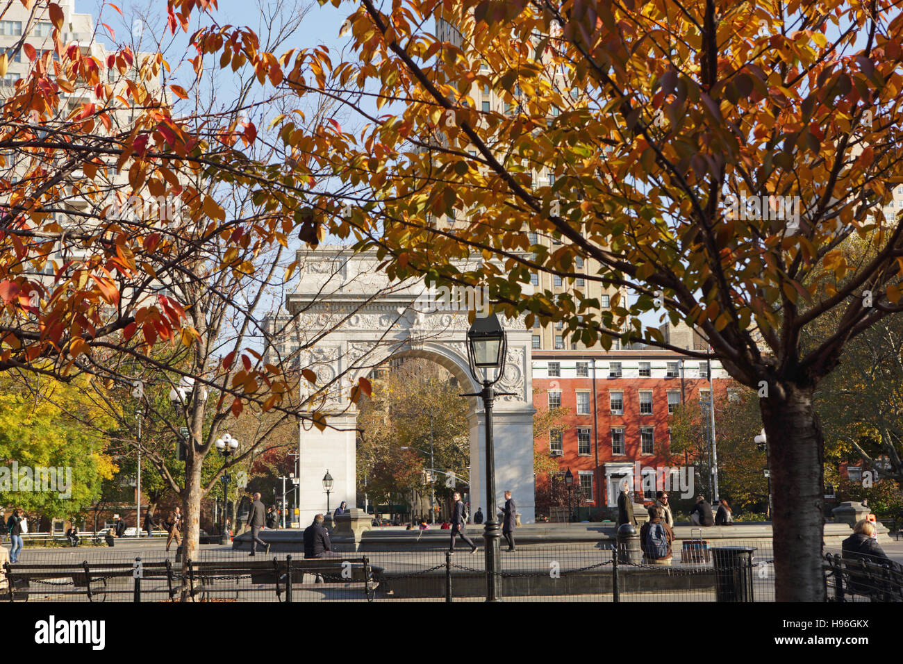 Real foliage hi-res stock photography and images - Alamy