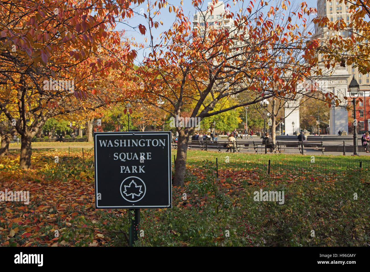 Foliage square leaves hi-res stock photography and images - Alamy