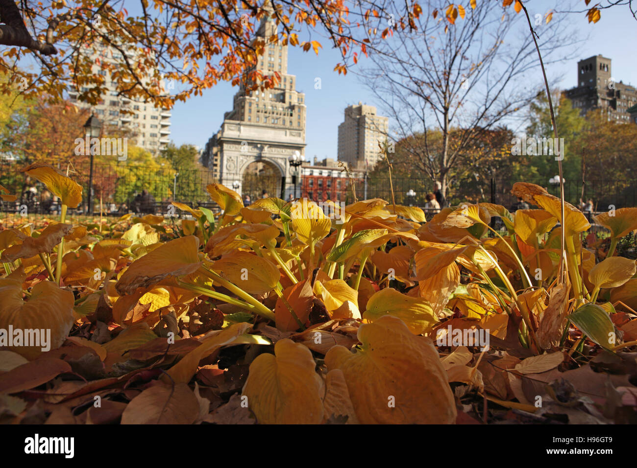 Square growing trees hi-res stock photography and images - Alamy