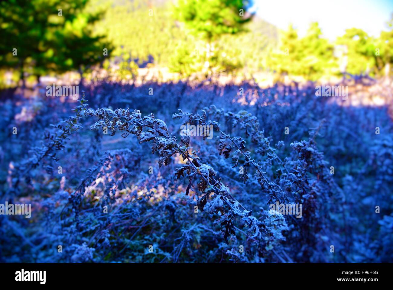 Onset cold hi-res stock photography and images - Alamy