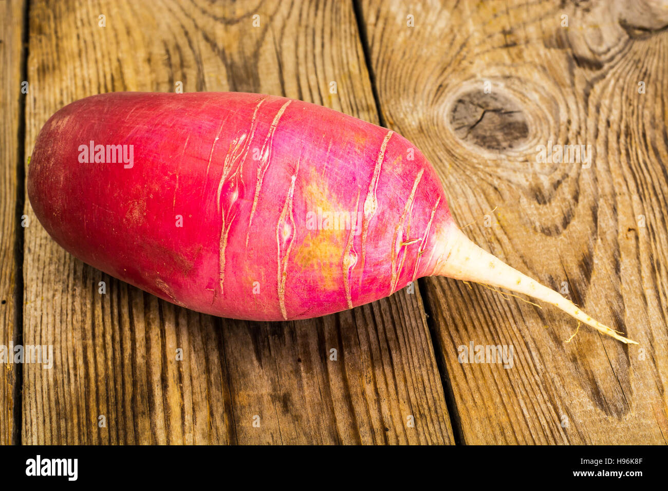 Daikon popular Japanese root vegetable Studio Photo Stock Photo - Alamy