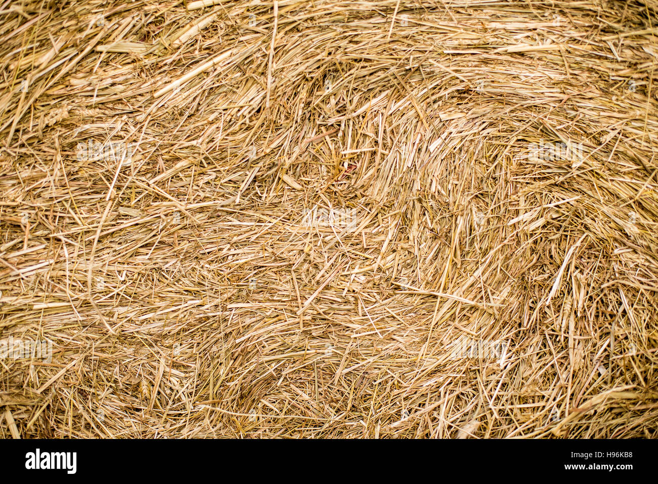 Hay bales texture background. Straw rolls Stock Photo - Alamy