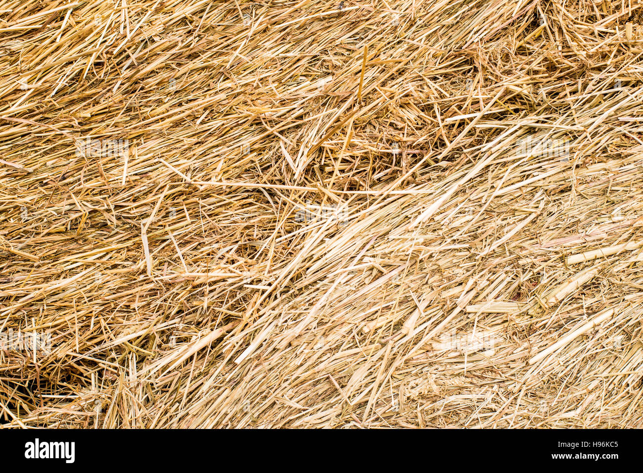 Hay bales texture background. Straw rolls Stock Photo - Alamy
