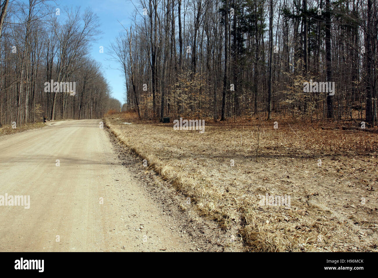 Dirt road through woods hi-res stock photography and images - Alamy