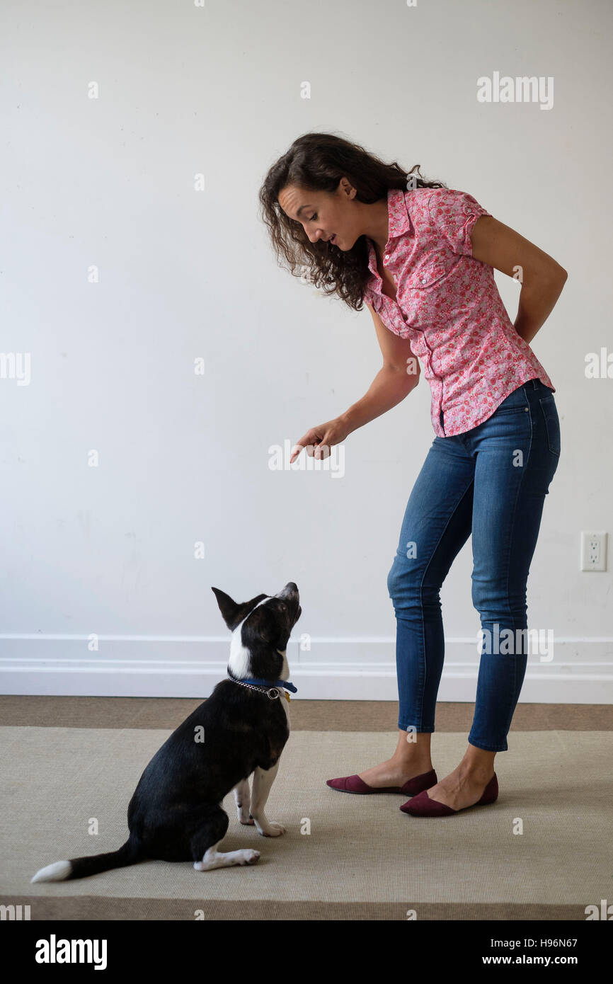 Young woman training her dog Stock Photo - Alamy