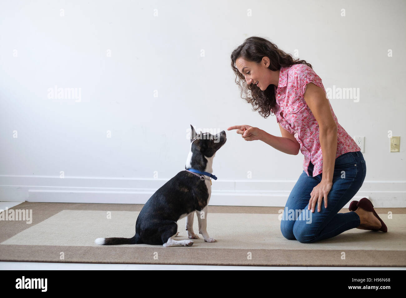 Young woman training her dog Stock Photo - Alamy