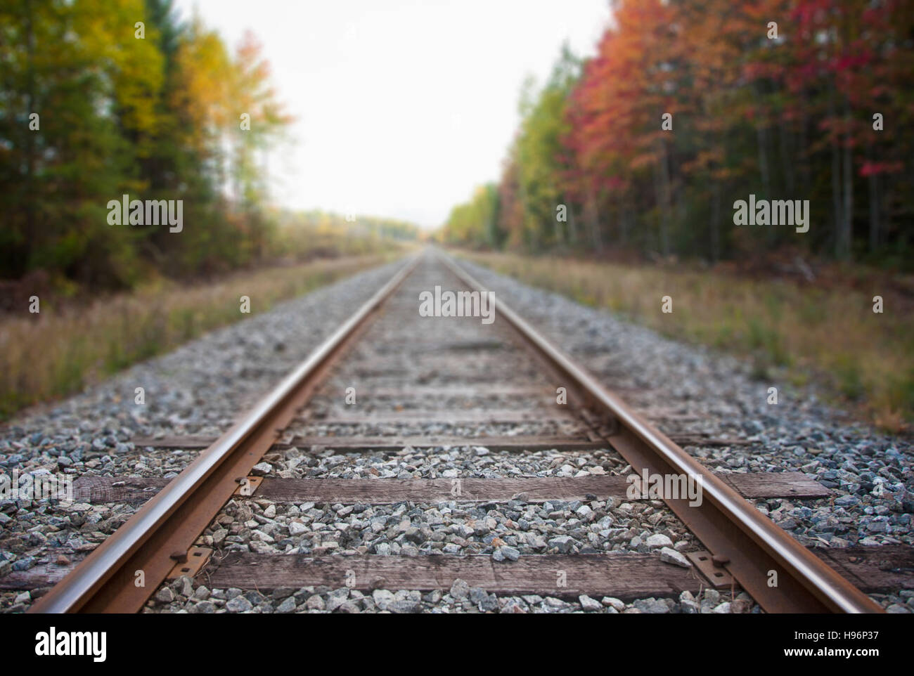 USA, New York State, Adirondack Mountains, Railroad tracks Stock Photo ...