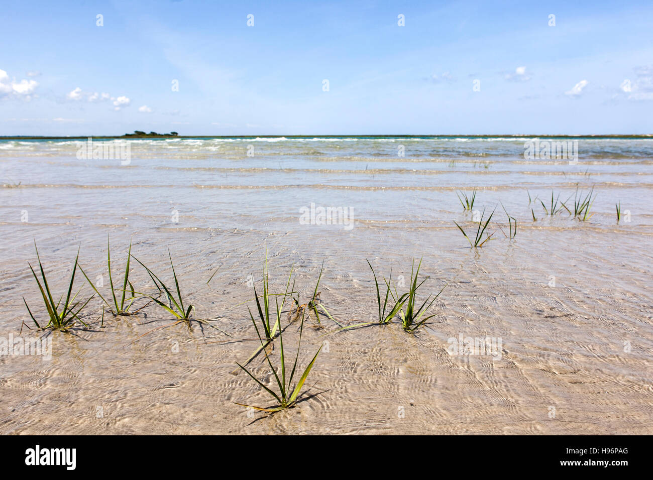 Beautiful ocean landscape Stock Photo - Alamy