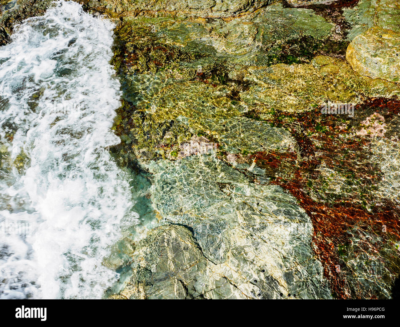 Transparent water in rock pool Stock Photo - Alamy