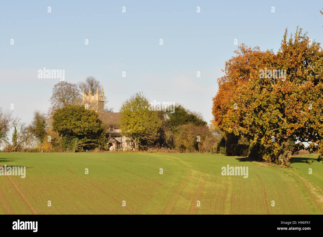 All Saints church Beighton Norfolk England UK Stock Photo - Alamy