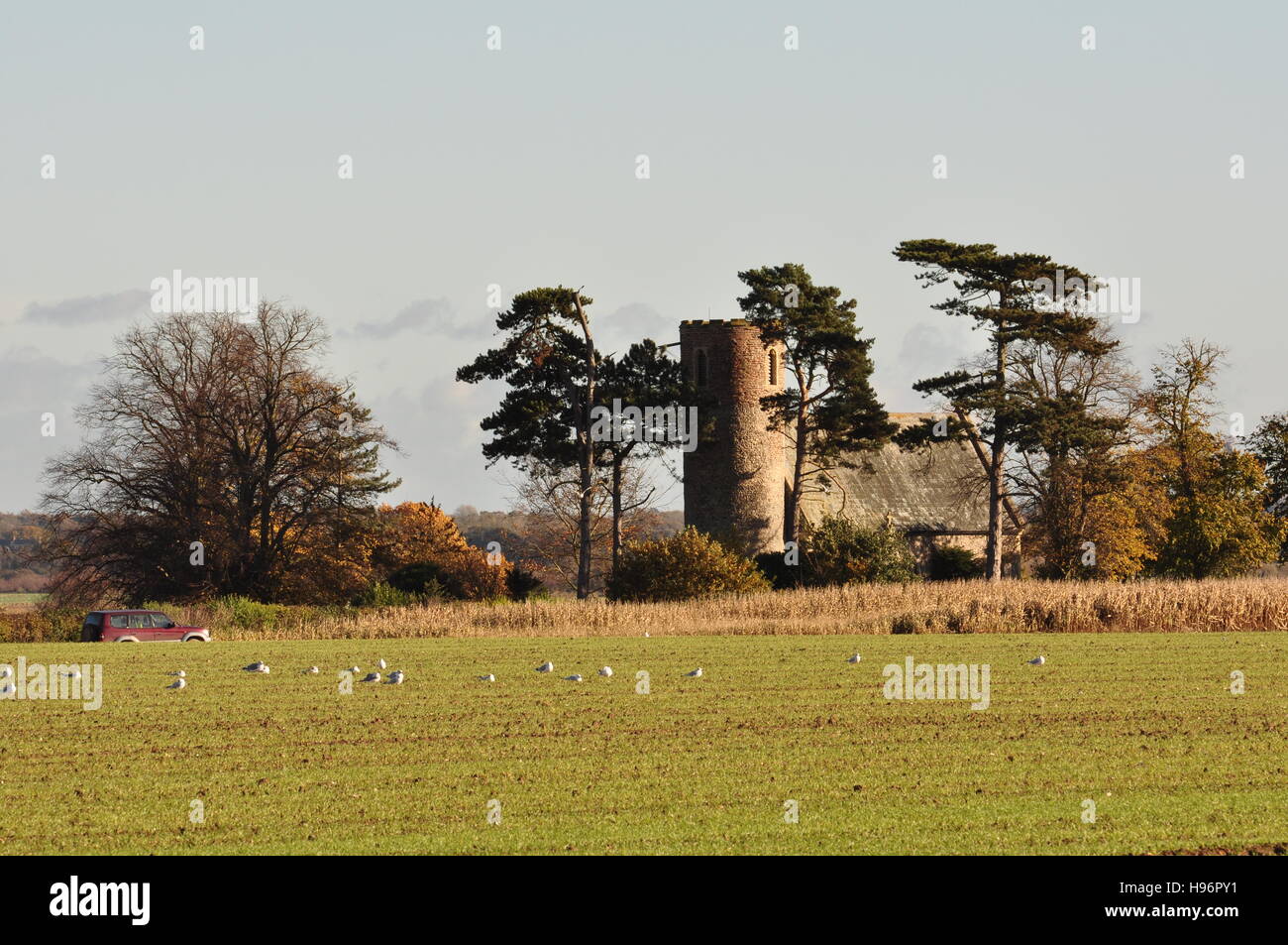 Acle norfolk hi-res stock photography and images - Alamy