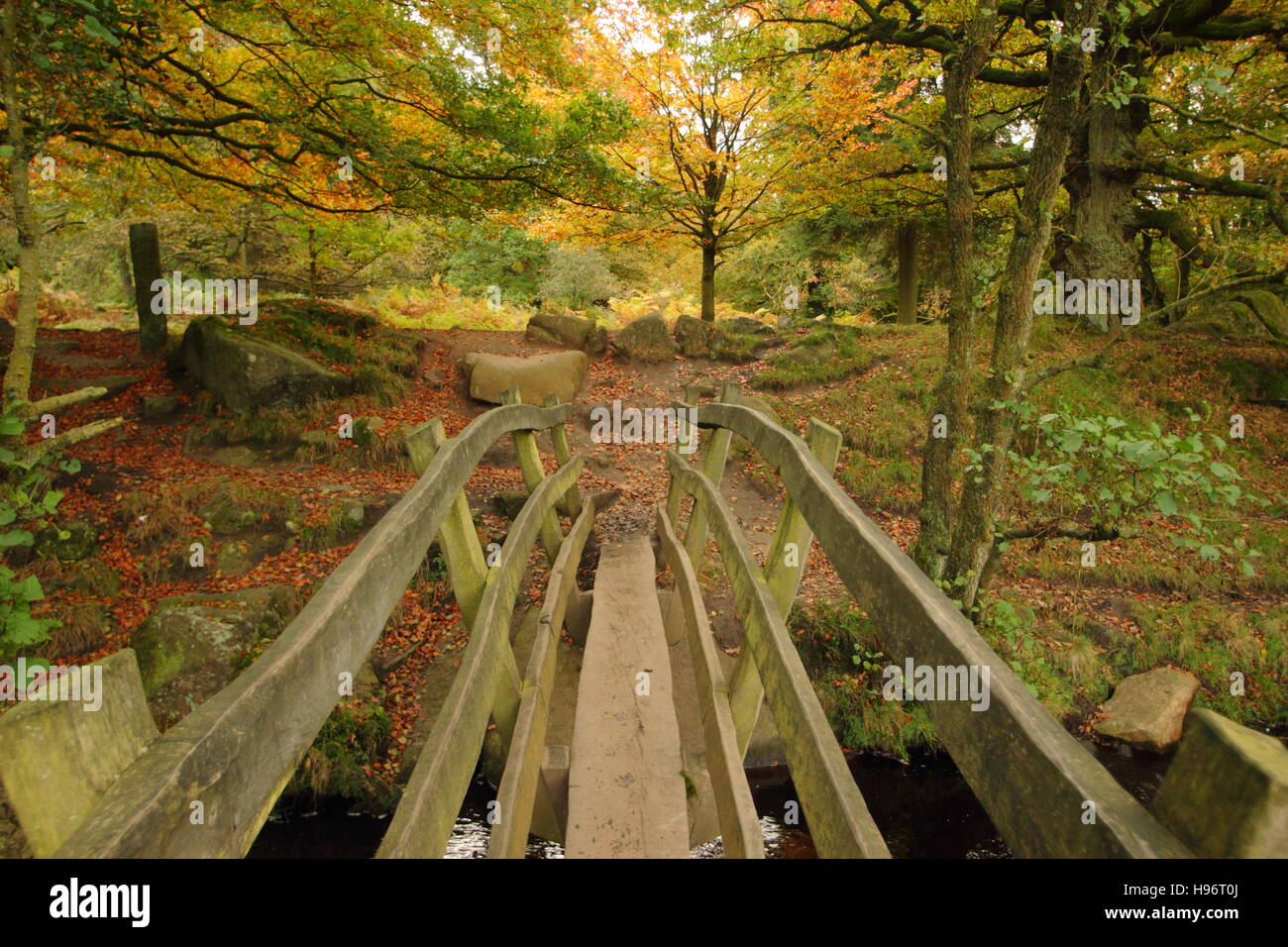 Autumn foliage in English woodland seen from a wooden bridge spanning ...