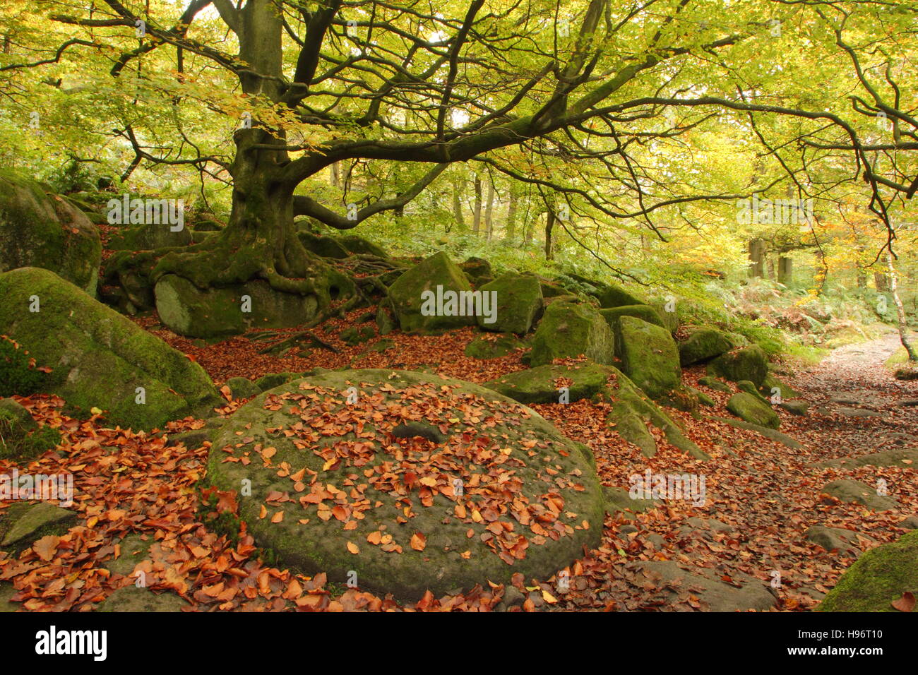 Autumn in Padley Gorge; a scenic valley in Derbyshire's Peak District ...