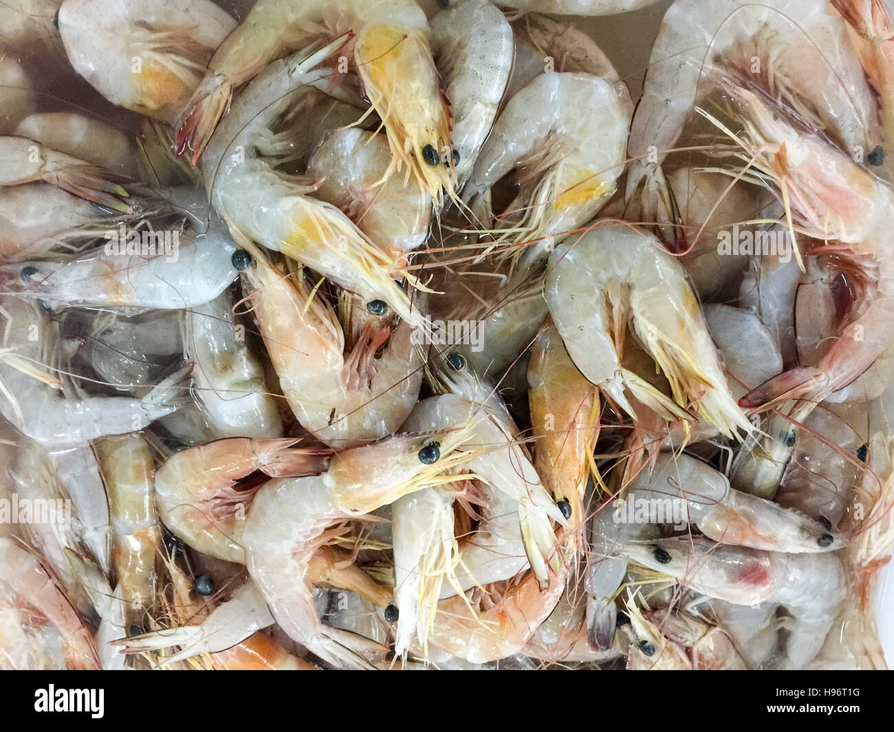 Fresh prawn at market display Stock Photo - Alamy