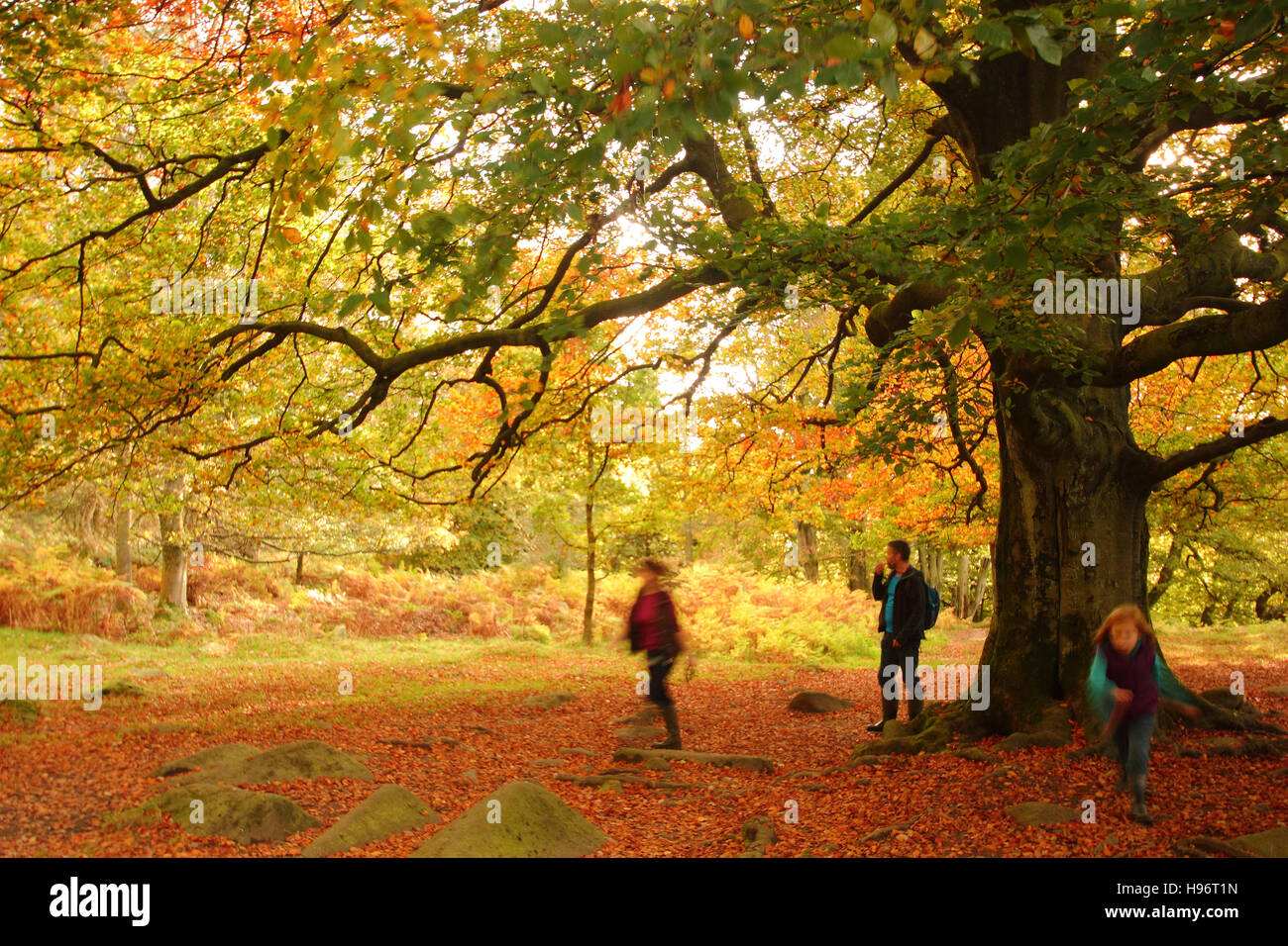 Family group enjoy autumn scenery in Padley Gorge; a beautiful wooded ...