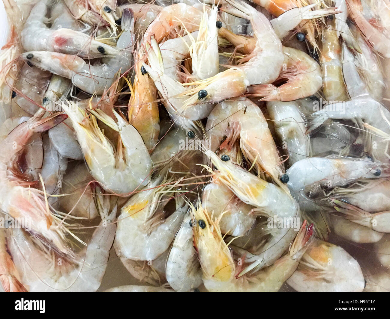 Prawn Stack High Resolution Stock Photography and Images - Alamy