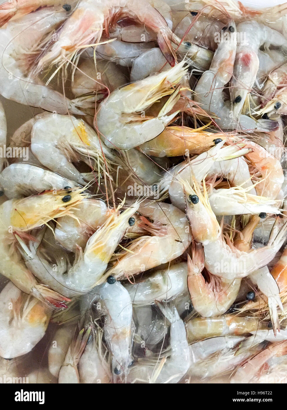 Fresh prawn at market display Stock Photo - Alamy